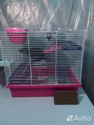 Крысы с клеткой