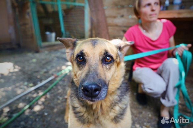 Приют не место для Варяга