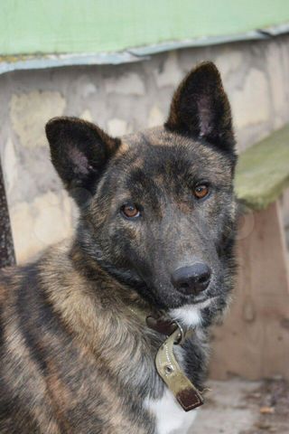 Красивый парень с непростой судьбой