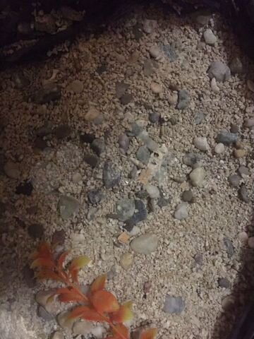 Грунт для аквариума