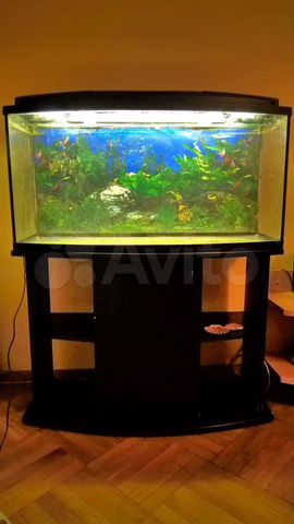 Панорамный аквариум Aquael 180 л с тумбой