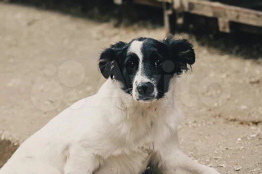 Молодой парень в добрые руки